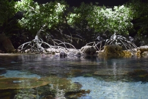 The Deep, Hull | Things to do in East Yorkshire